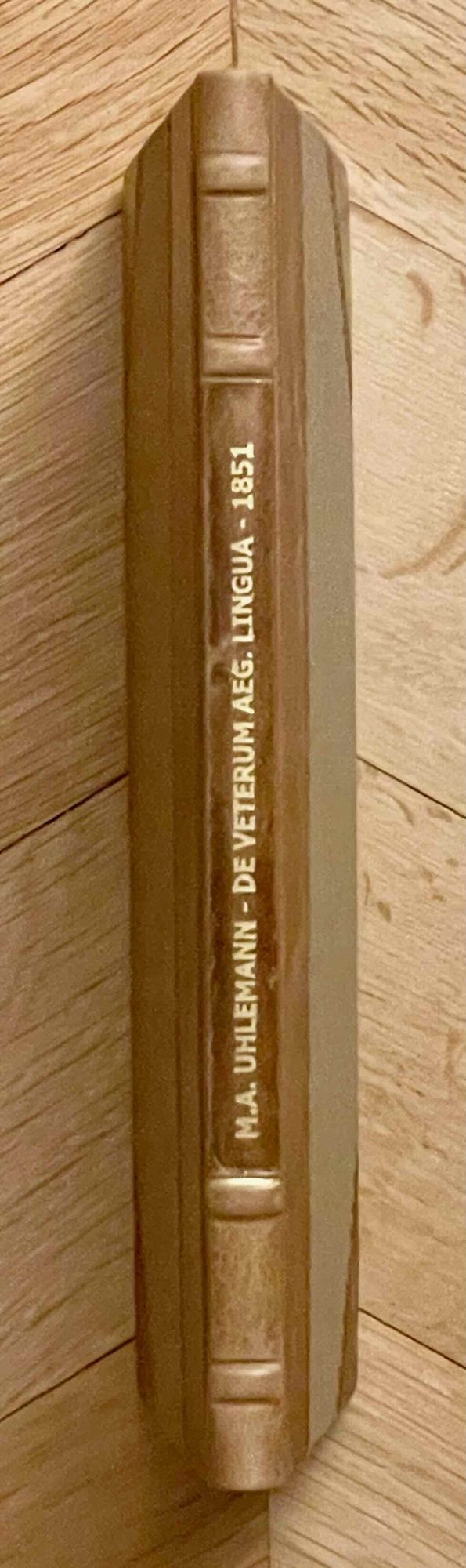 De veterum Aegyptiorum lingua et litteris, sive De optima signa ...