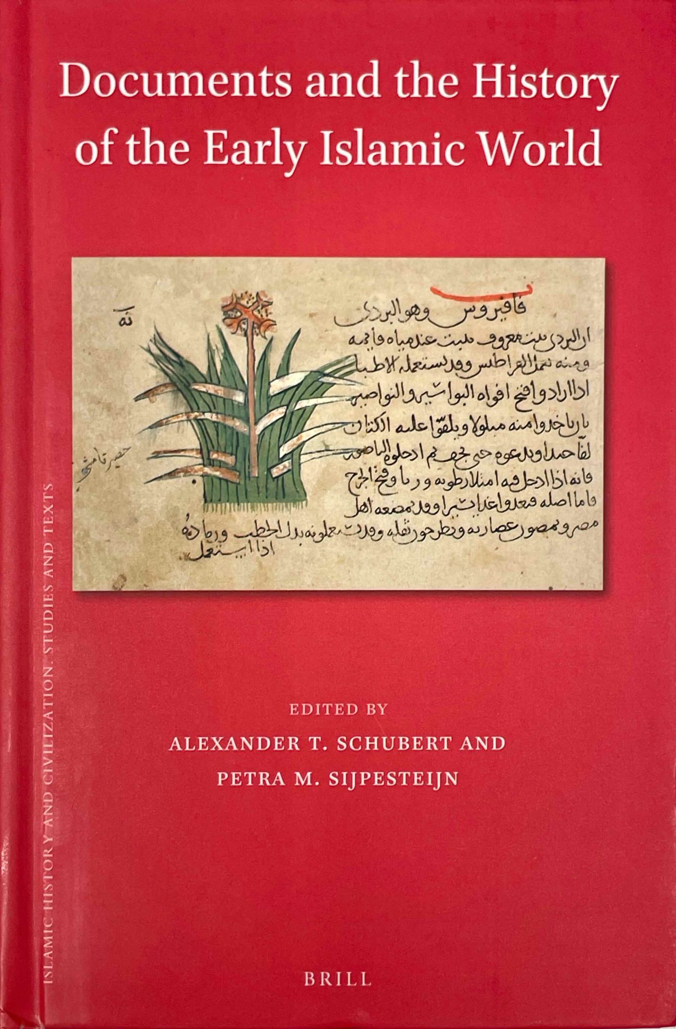 Documents and the history of the early Islamic world | SCHUBERT ...