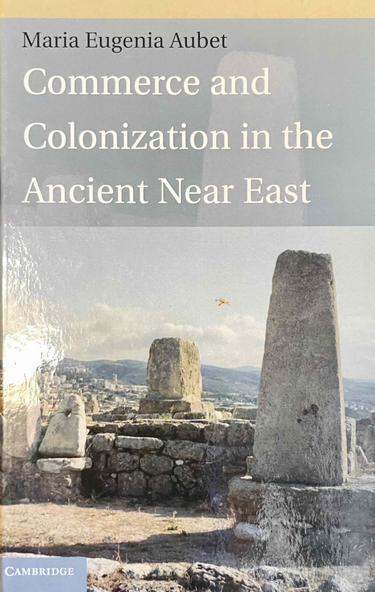 Commerce and colonization in the ancient near East | AUBET María-Eugenia